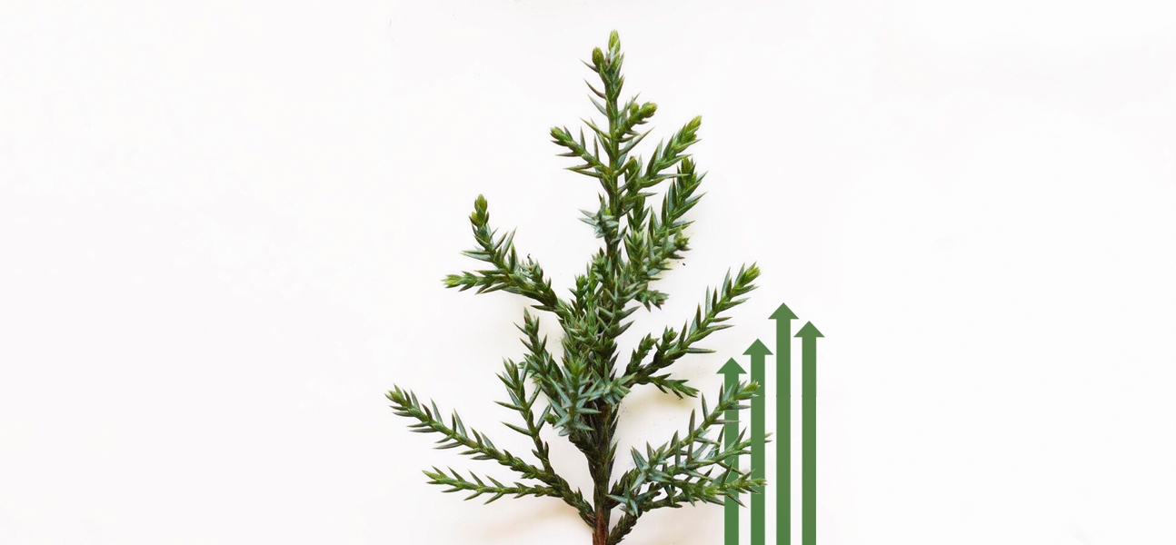 4 Little-Known Tactics to Conquer Evergreen Niches And Make Money ...