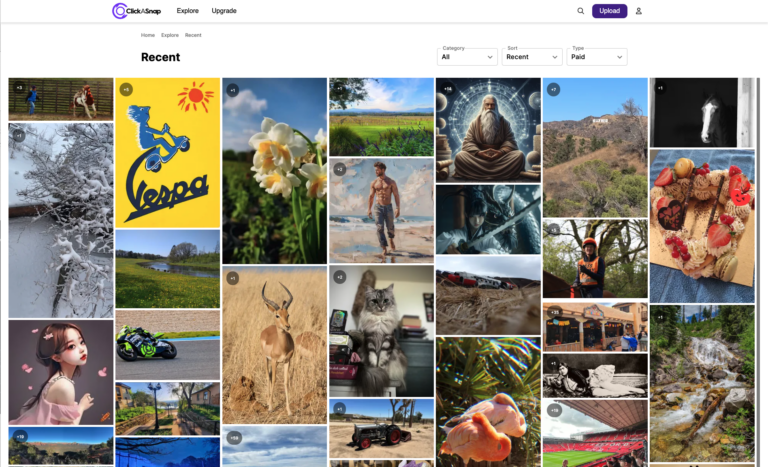 Click a Snap Review 2024: Get Paid to Share Your Photos?