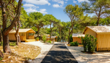 750+ Creative Camp Names For You to Use in 2025 - Nichehacks