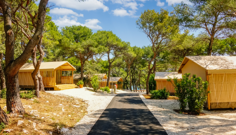 750+ Creative Camp Names For You to Use in 2025 - Nichehacks